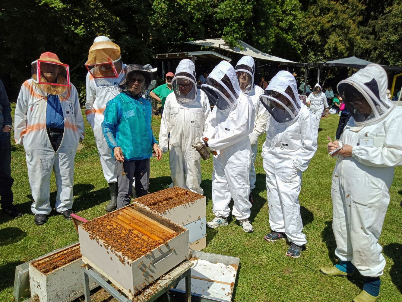 About – Christchurch Beekeepers Club